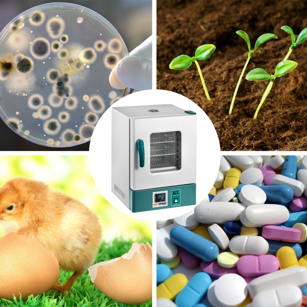 VEVOR Incubadora de laboratorio 20L Incubadora de bacterias RT-65 ℃ Incubadora digital ...