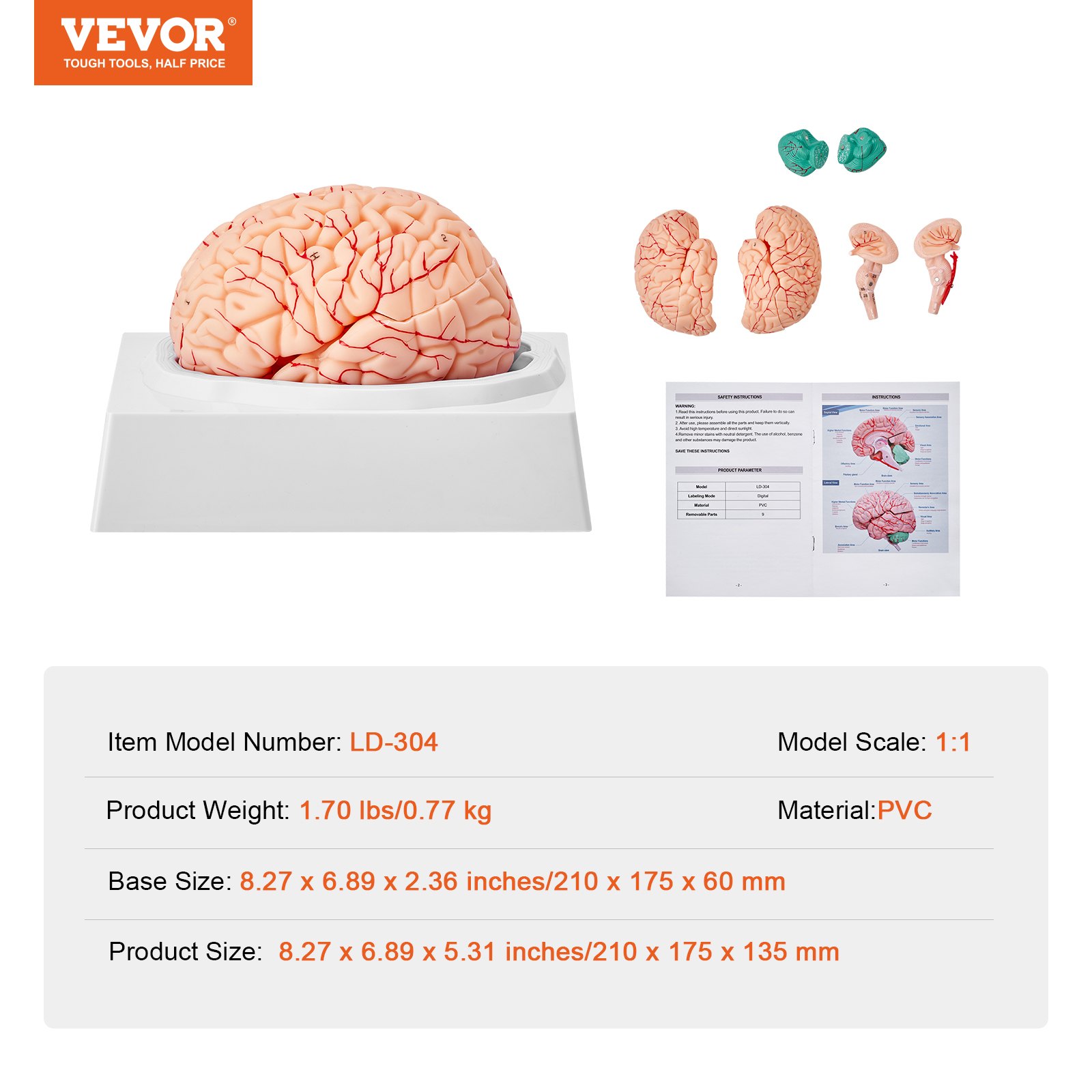 VEVOR Human Brain Model Anatomy, 1:1 Life-Size 9-Part Human Brain ... VEVOR Human Brain Model Anatomy, 1:1 Life-Size 9-Part Human Brain ...