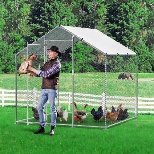 Metal Chicken Coop 6.56x6.56x6.56ft Walk-in Chicken Run with Cover ...