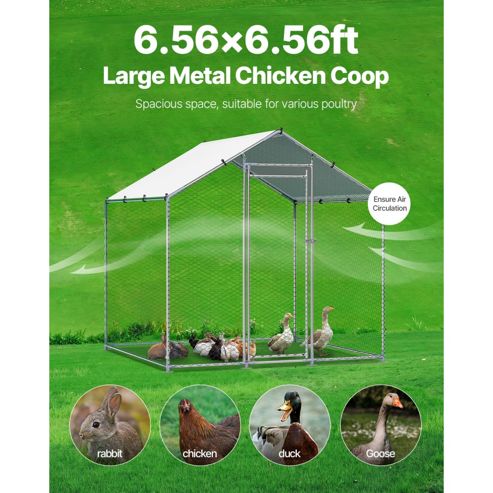 Metal Chicken Coop 6.56x6.56x6.56ft Walk-in Chicken Run with Cover ...
