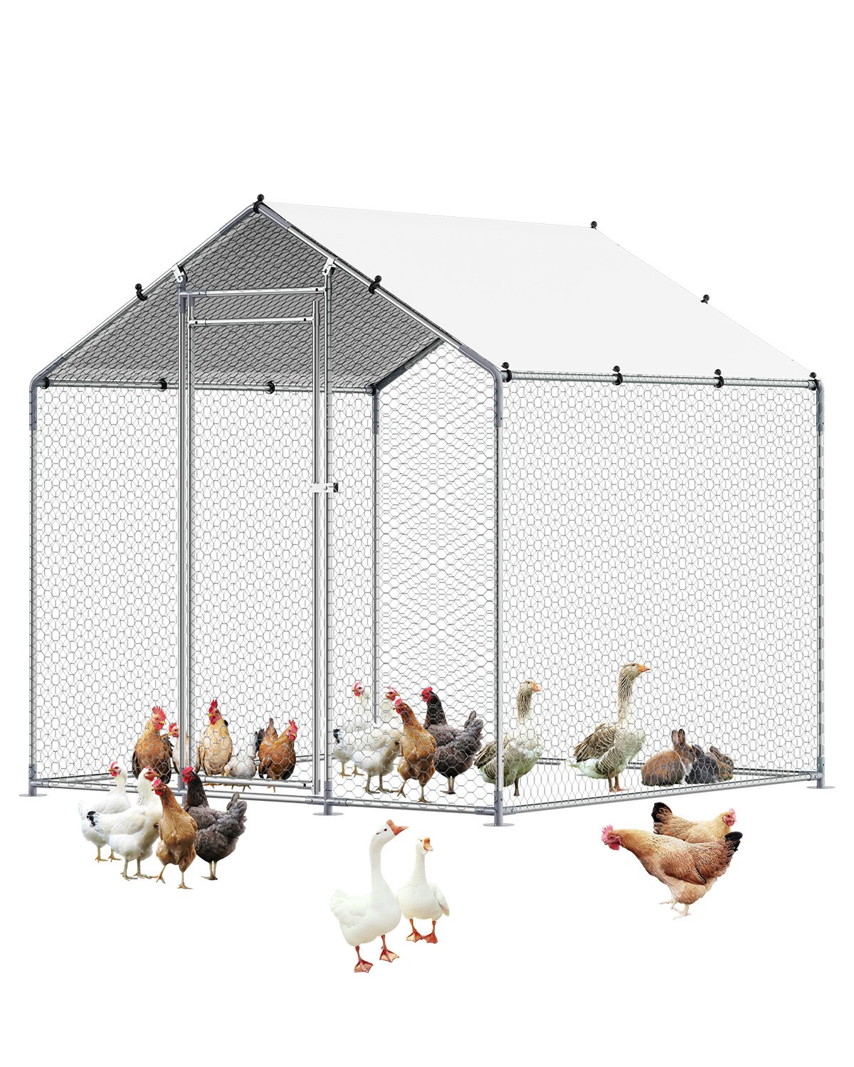 Metal Chicken Coop 6.56x6.56x6.56ft Walk-in Chicken Run with Cover ...