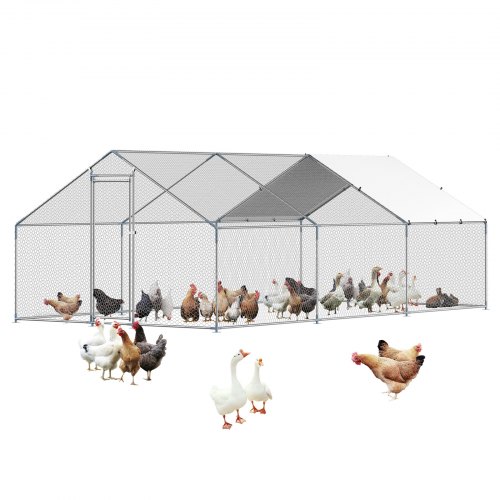 VEVOR Chicken Runs - Secure and Spacious Poultry Cages