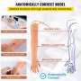 VEVOR 12 PCS Phlebotomy Practice Kit, IV Venipuncture Intravenous ...