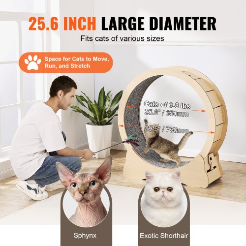 Cat Exercise Wheel Large Cat Treadmill Wheel for Indoor Cats 29.5 inch ...