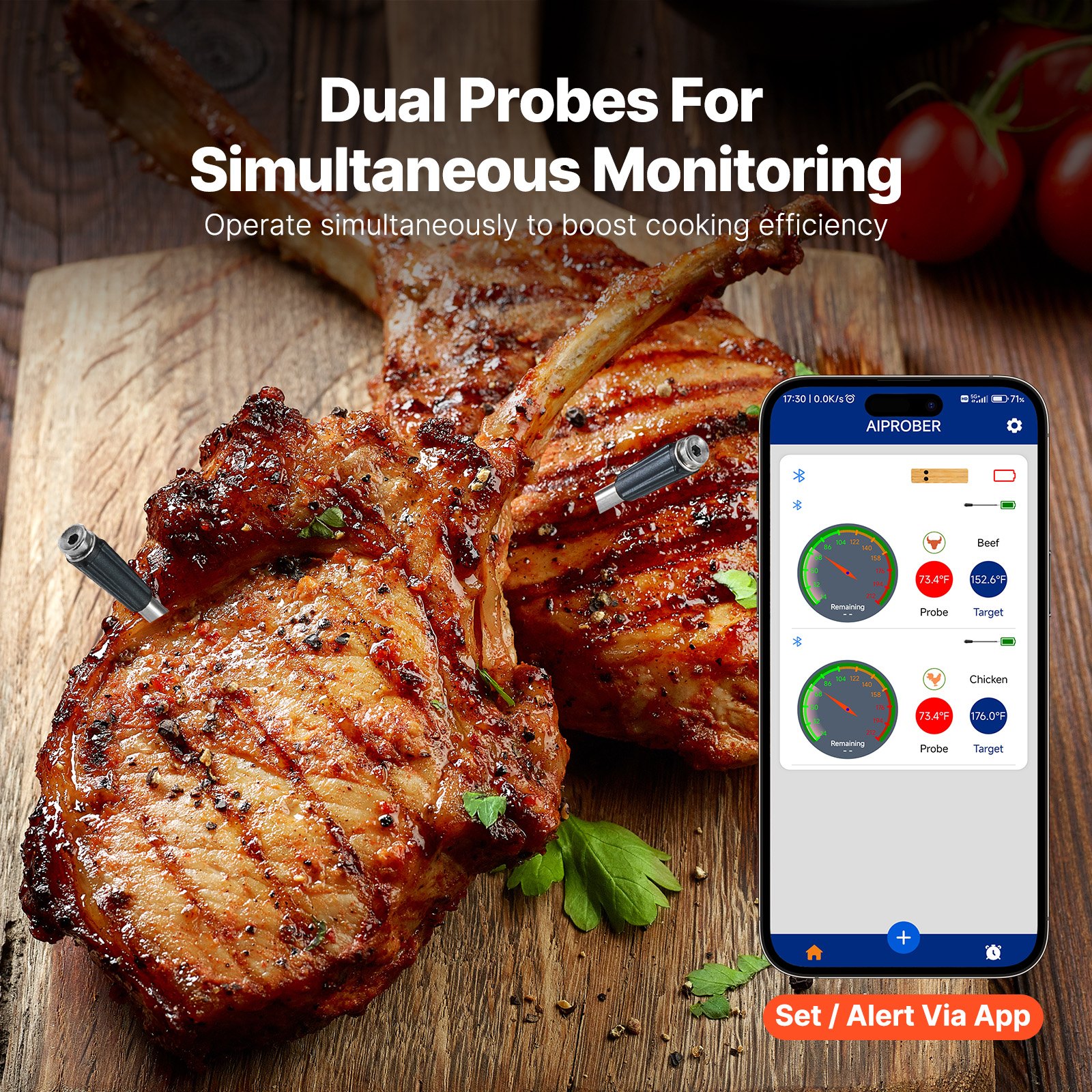VEVOR Wireless Meat Thermometer Bluetooth Meat Probe Two Probes for ...