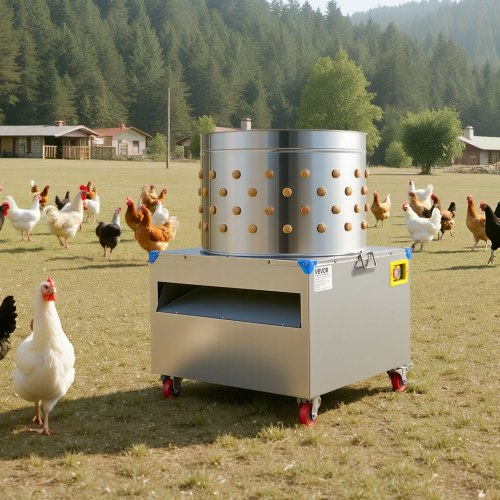 VEVOR Chicken Plucker: Keeping Up With Innovations in the Poultry Industry