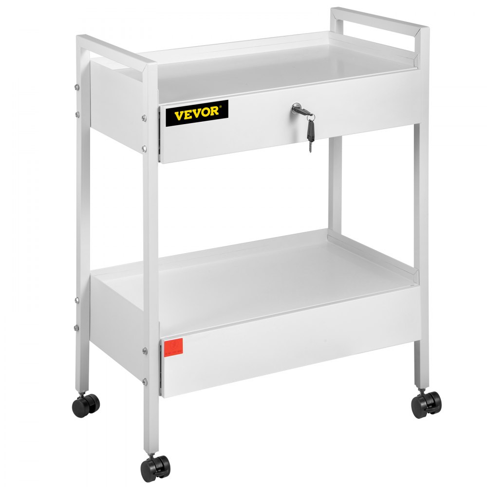 VEVOR Lab Cart, 2 Tiers Stainless Steel Utility Cart Medical Cart 2 ...