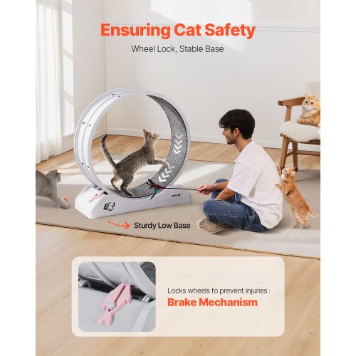 VEVOR Cat Exercise Wheel 31.5 in Large Indoor Cat Running Wheel ...