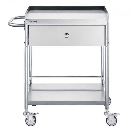 VEVOR Medical Cart, 2-Layer Stainless Steel Cart 220 lbs Weight ...