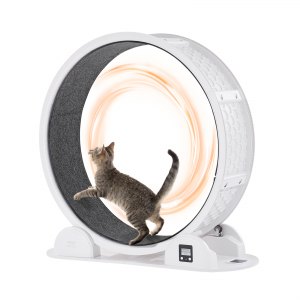 VEVOR Cat Exercise Wheel with Pedometer 40.8" Cat Treadmill for Pet ...